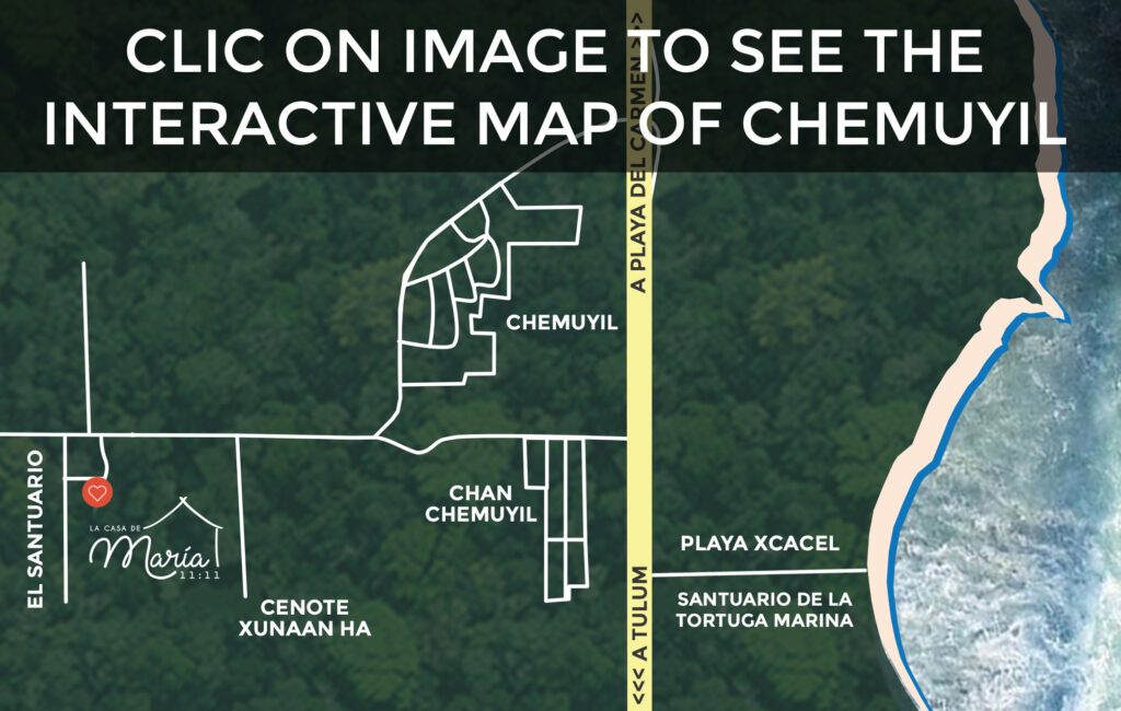 Wonderful location close to cenotes and beautiful beaches